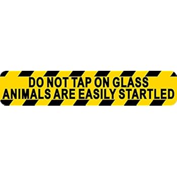 Amazon.com: StickerTalk Please Do Not Tap on Glass Vinyl Sticker, 10 ...