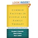 Common Factors in Couple and Family Therapy: The Overlooked Foundation for Effective Practice ...