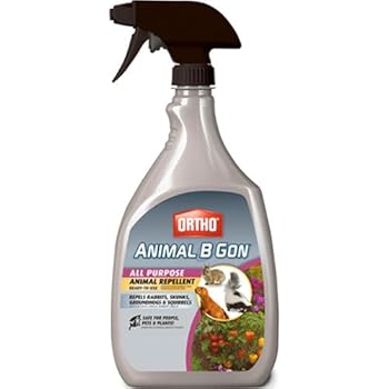 Amazon.com : Ortho Animal B Gon All Purpose Animal Repellent Ready-to ...