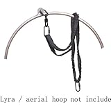 Amazon.com : runner deer Complete Lyra/aerial hoop/aerial rings Set ...