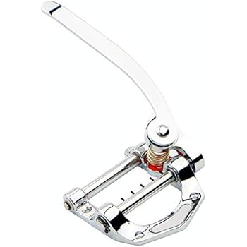 Amazon.com: Bigsby B5 Vibrato Tailpiece, Telecaster and Jazzmaster Style Solid Body Flat Top ...