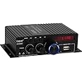 Amazon.com: Lepai LP-2020BT Bluetooth Hi-Fi Audio Mini Class D Stereo Amplifier FM Media with ...