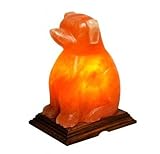 Himalayan Salt Lamp Cat - The Green Head