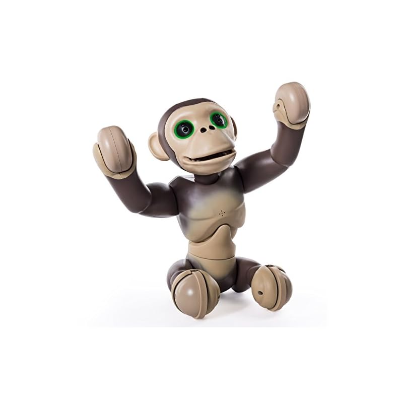 Zoomer Chimp
