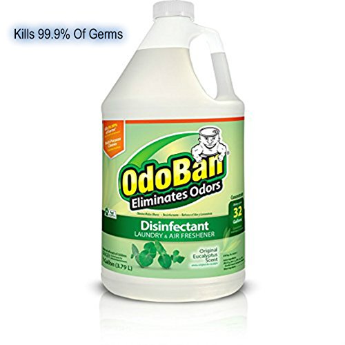 OdoBan Disinfectant Odor Eliminator and All Purpose Cleaner Concentrate ...