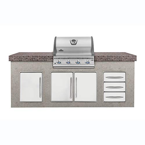 Napoleon LEX 485 Built-In Natural Gas Grill Review | Best Grill Reviews