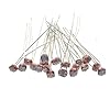 HiLetgo 100pcs 5528 Light Dependent Resistor LDR 5MM Photoresistor ...