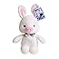 Amazon.com: Korea Drama You're Beautiful PIG Rabbit Doll 55cm/21.65inch ...
