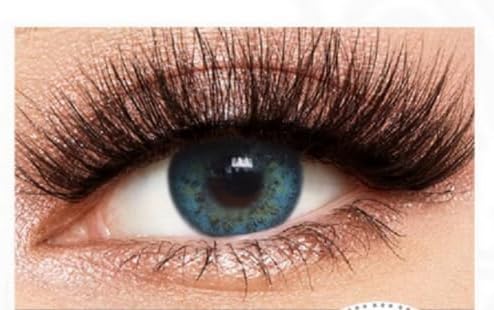 سعر Fresh Lady - Russian Blue فى مصر | بواسطة امازون مصر | كان بكام