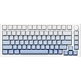 Amazon.com: VGN Gaming Keyboard A75 Magnetic Keyboards Gradient Blue ...