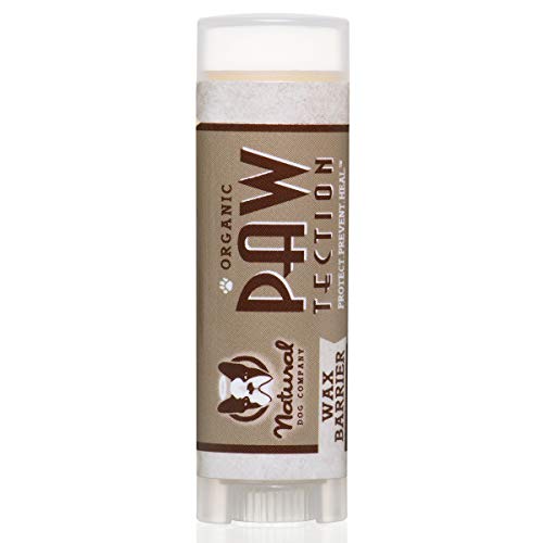 The Best Dog Paw Balms - Dogtime