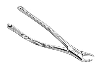 Amazon.com: Pomee USA 706-151 Extracting Forcep #151 Serrated Universal ...