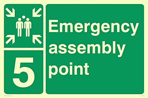 Emergency Assembly Point 5 – Replaces Sy476(5) – BigaMart