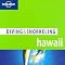 Lonely Planet Diving & Snorkeling Hawaii: Casey Mahaney: 9781740591294 ...