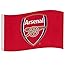 Amazon.com : Arsenal FC - Official Crest 5' x 3' Flag : Sports & Outdoors