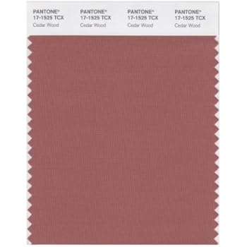 PANTONE Smart 17-1525X Color Swatch Card, Cedar Wood - Wall Decor ...