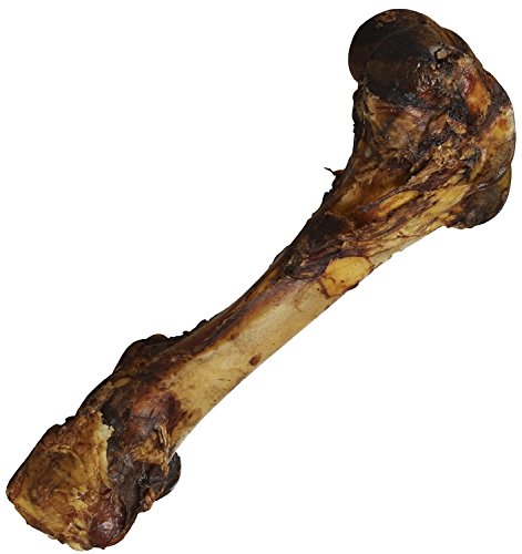 Are Femur Bones Safe For Dogs Are Femur Bones Safe For Dogs