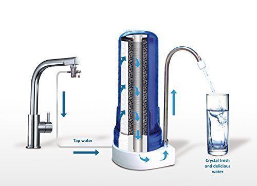 Ecosoft 6th Stage Add-On Coconut Carbon Water Filter System for ...