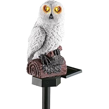 Decorative LED Motion Sensor Hooting Owl Light - - Amazon.com