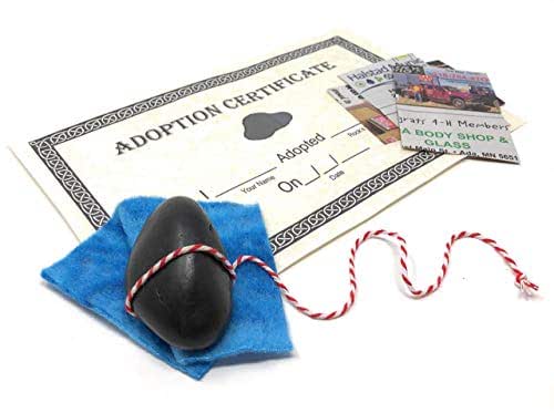 Amazon.com: Rock Pet with Deluxe Adoption Kit : Handmade Products