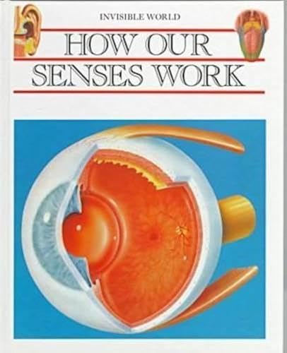 How Our Senses Work (The Invisible World) in Oman | Whizz Science & Math