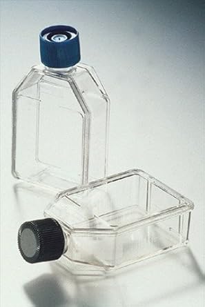 Tissue Culture Flask - 600 mL. (40/cs): Science Lab Cell Culture Media ...