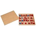 Amazon.com: Montessori Small Movable Alphabets w/ Box : Toys & Games