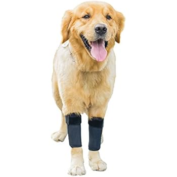 Amazon.com : GNIKS Dog Front Leg Wrap Protects Brace Pets Joint Hock ...