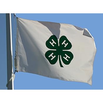 Amazon.com : NEOPlex 4 H Traditional Flag : Office Supplies : Garden ...