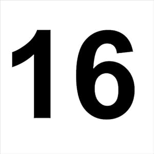 3 times Number "16" High-Quality adhesive, Black, All-Weather, 20 CM ...