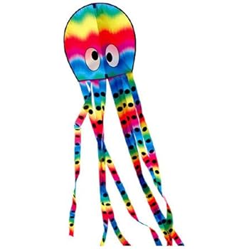 Amazon.com: New Tech Kites Facet Box Kite: Toys & Games