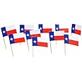 Amazon.com: Texas | Texan Flag Toothpicks (100) : Health & Household