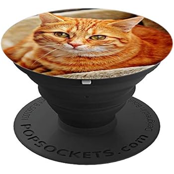 Amazon.com: Cat Pop Socket Cute Kitty Face Animal Lovers Design ...