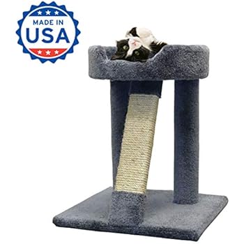 Amazon.com : Classy Kitty 22" Slant Post With Cardboard Insert 13 ...
