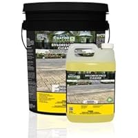 Amazon.com: Alliance Gator Clean Efflorescence Cleaner 1 Gal for Pavers ...