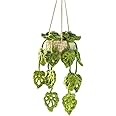 Amazon.com: HEMASN KDGENG Boho Car Plant Crochet Hanging Basket - Cute ...