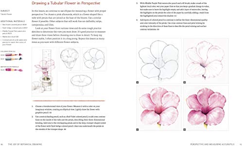 The Joy of Botanical Drawing: A Step-by-Step Guide to Drawing and ...