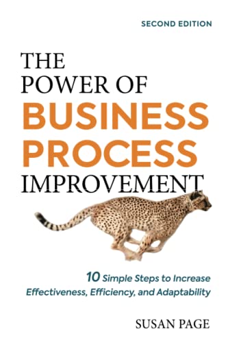 Power of Business Process Improvement: Page, Susan: 9781400242597 ...