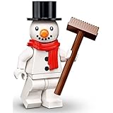 Amazon.com: LEGO Series 23 Minifigures Complete Set of 12 Characters 71034 (Bagged) : Toys & Games