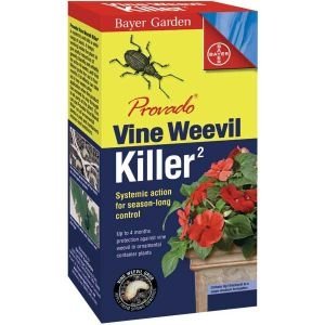 Bayer Garden Provado Vine Weevil Killer² Concentrate 1 Litre: Amazon.co ...