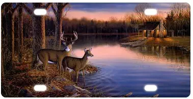 Top 10 Nature License Plates For Front Of The Car - Home Previews