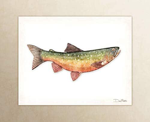 Amazon.com: Greenback Cutthroat Trout Watercolor Art Print by Dan ...