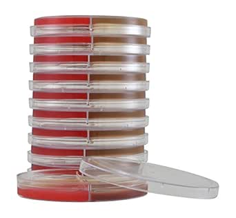 Haemophilus ID Quadplate, fpr Speciation of Haemophilus with X and V ...