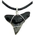 Amazon.com: Sunken Hunter Fossilized Bull Shark Tooth Necklace for Boys ...