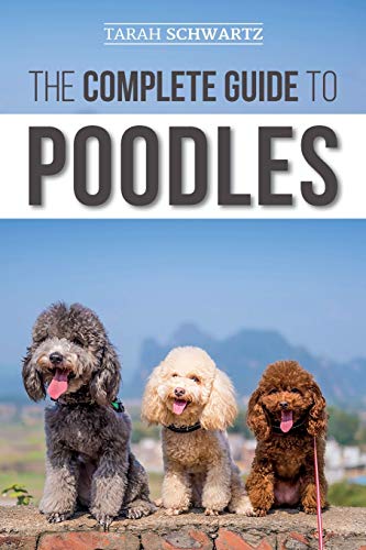 The Complete Guide to Poodles: Standard, Miniature, or Toy - Learn ...