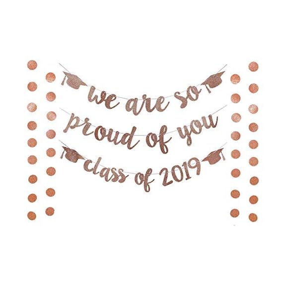 6Pack Glitter Grad Banners Rose Gold Graduation Banner Class of 2019 ...