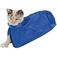 Amazon.com : ASPEN The Cat Sack - Royal Blue Medium : Cat Toys : Pet ...
