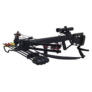 The Best Crossbows Under $300 With Important Tips Before You Buy 🎯