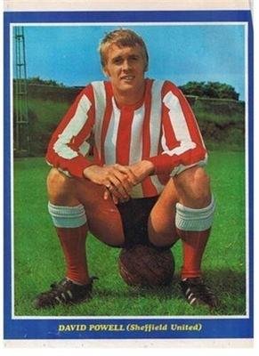 David Powell (footballer) - Alchetron, the free social encyclopedia
