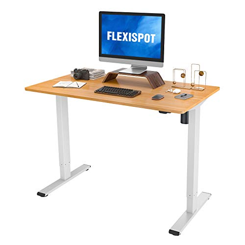 FLEXISPOT EG1 Essential Standing Desk 48 x 24 Inches Height Adjustable ...
